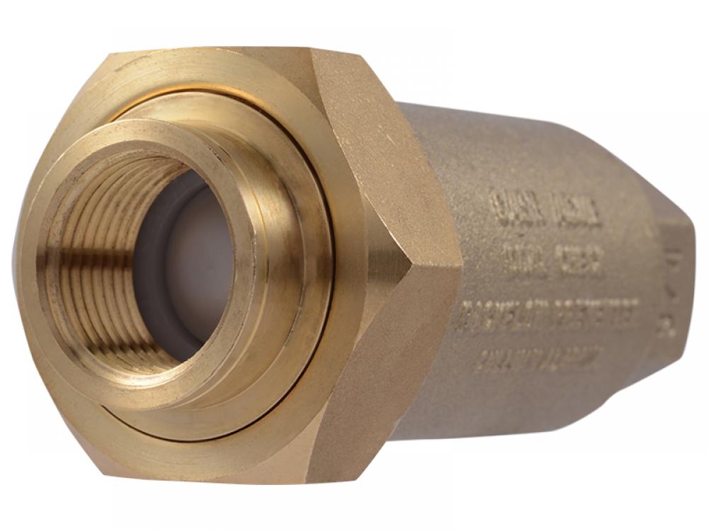 BF Dual Check Valve | Cash Acme